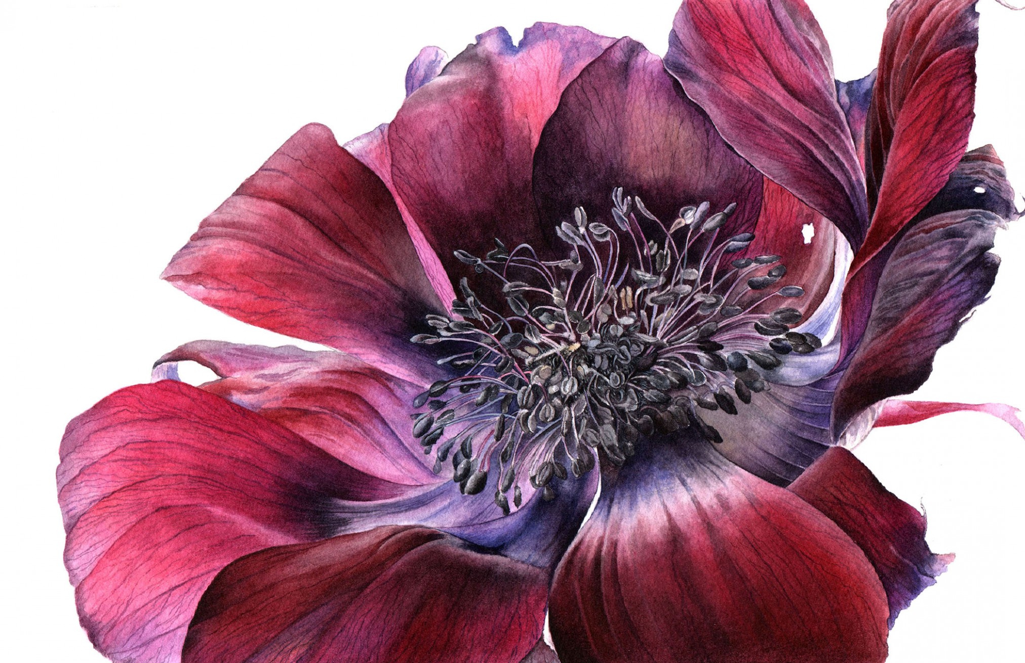 Helen Campbell Art | Gallery